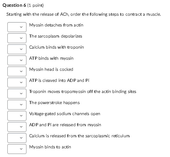 Solved Question 6 (1 ﻿point)Starting with the release of ACh | Chegg.com
