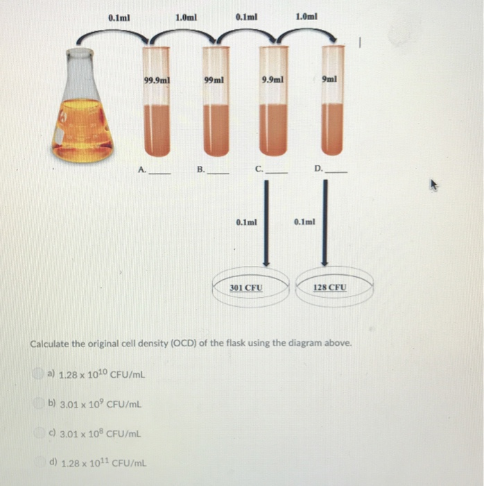 Solved 1. The standard plate count procedure is used to know | Chegg.com
