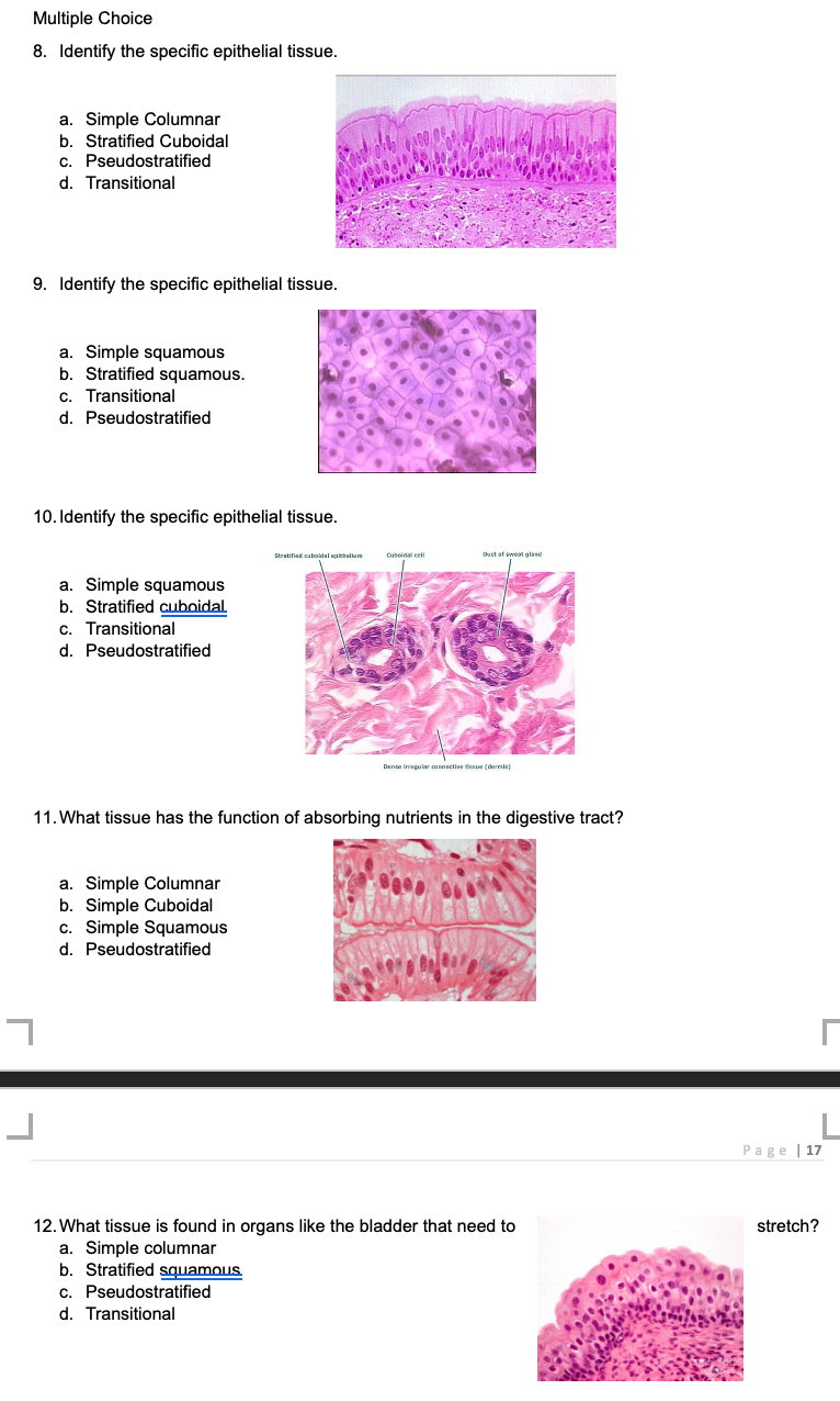 Solved a. Simple Columnar b. Stratified Cuboidal c. | Chegg.com