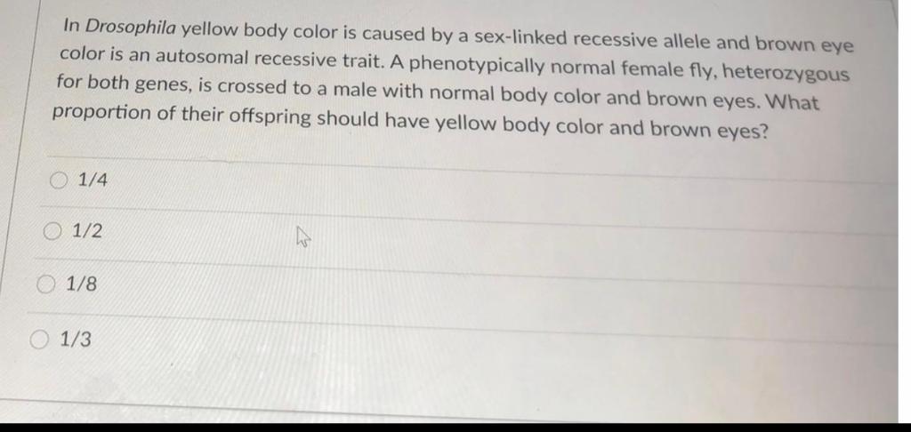 Solved In Drosophila yellow body color is caused by a | Chegg.com