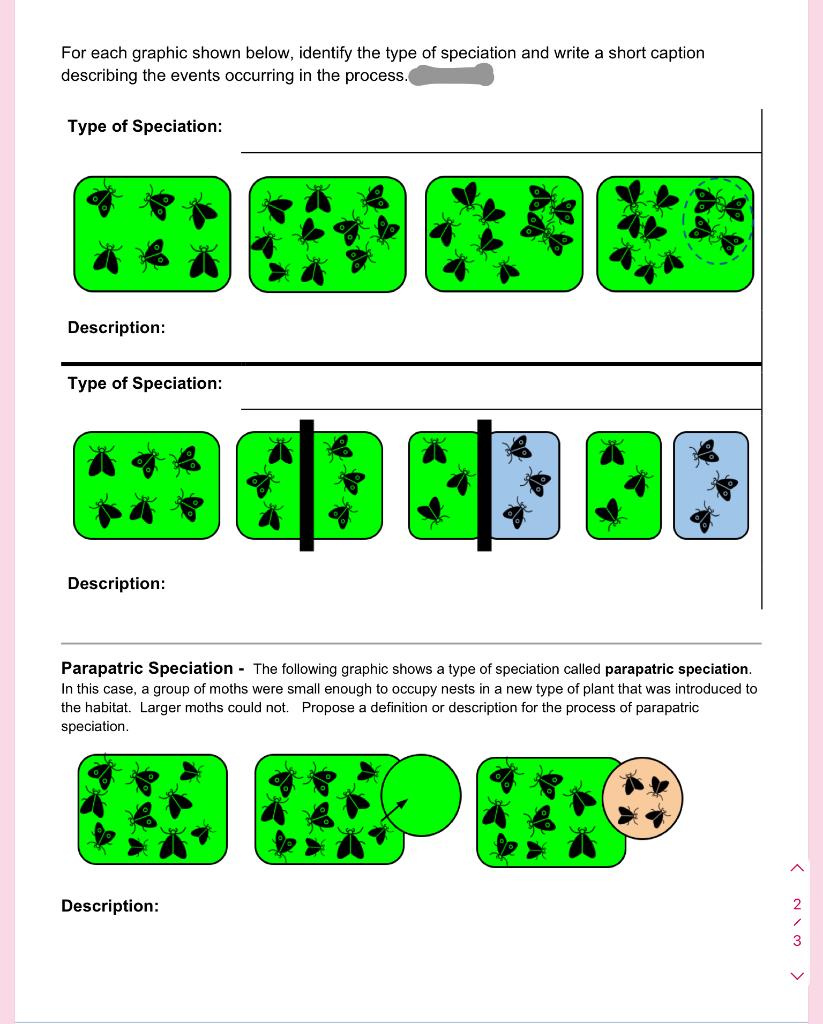 Solved For each graphic shown below, identify the type of | Chegg.com