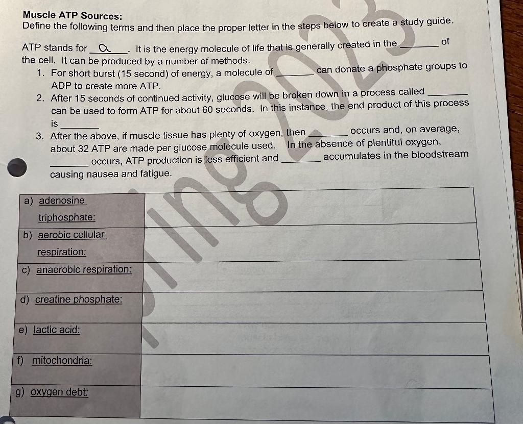 Solved Muscle ATP Sources: Define the following terms and | Chegg.com