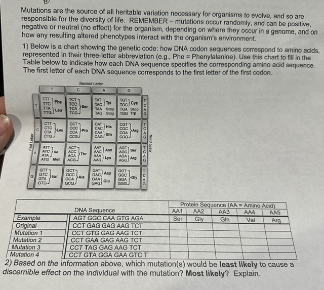 Solved Mutations are the source of all heritable variation | Chegg.com