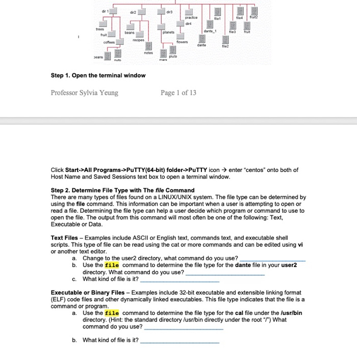 CSC156-Operating Systems Basics and Security Lab | Chegg.com