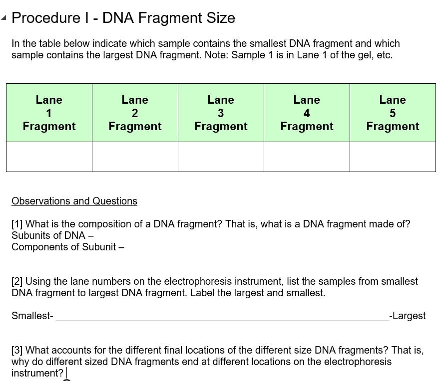 Procedure Dna Fragment Size In The Table Below Indicate Which The