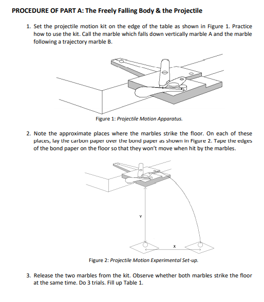 Solved PROCEDURE OF PART A: The Freely Falling Body & the | Chegg.com