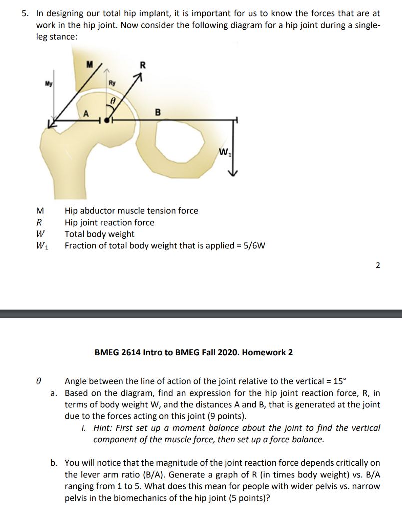 Solved 5. In designing our total hip implant, it is | Chegg.com