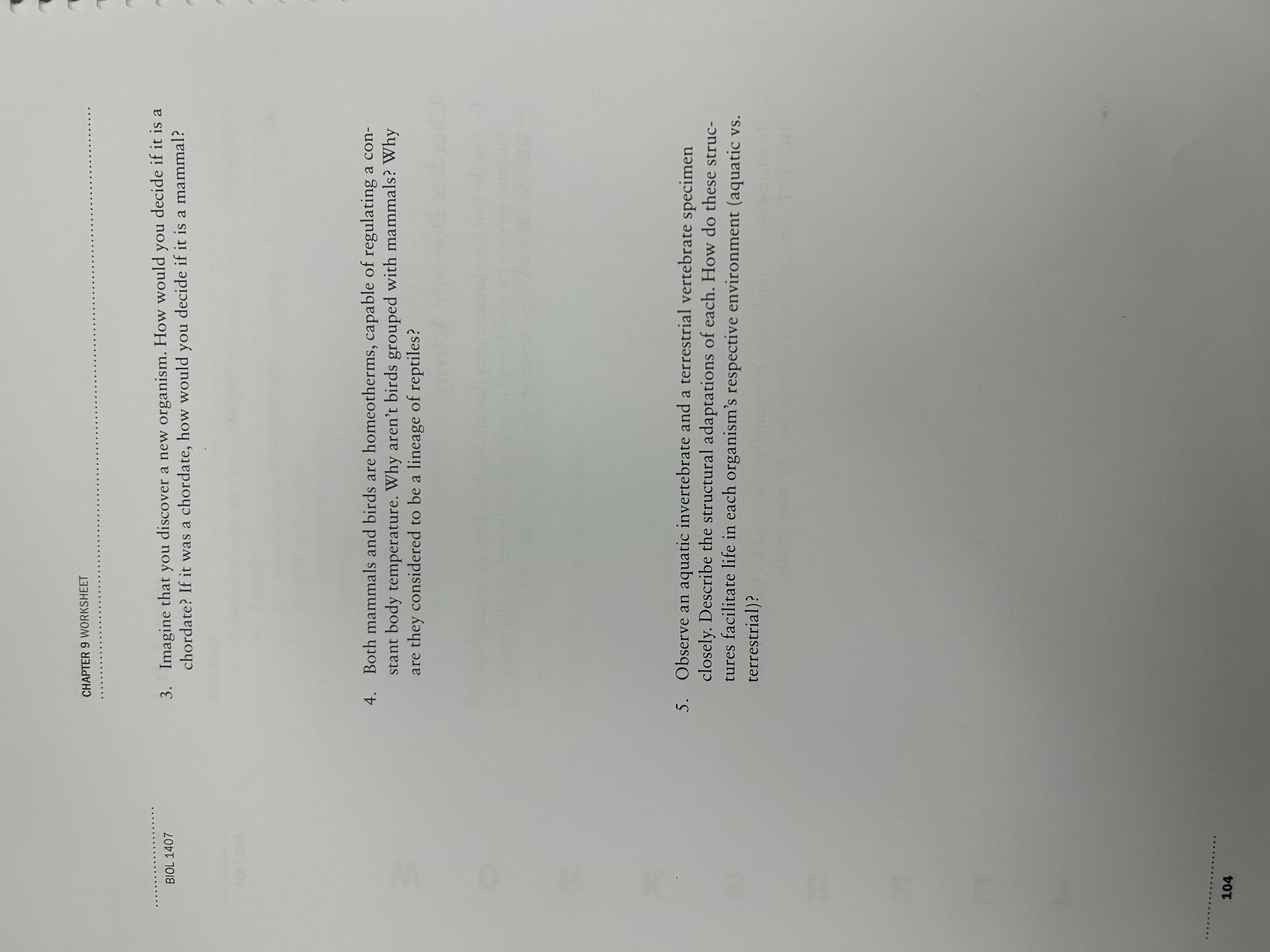 Solved CHAPTER 9 ﻿WORKSHEETBIOL 1407Imagine that you | Chegg.com