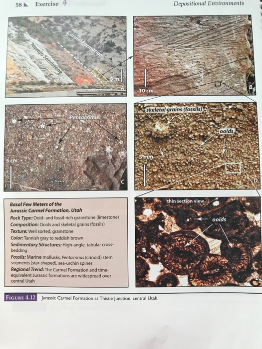 Solved Exercise Depositional Environments 53 PART D Mancos | Chegg.com