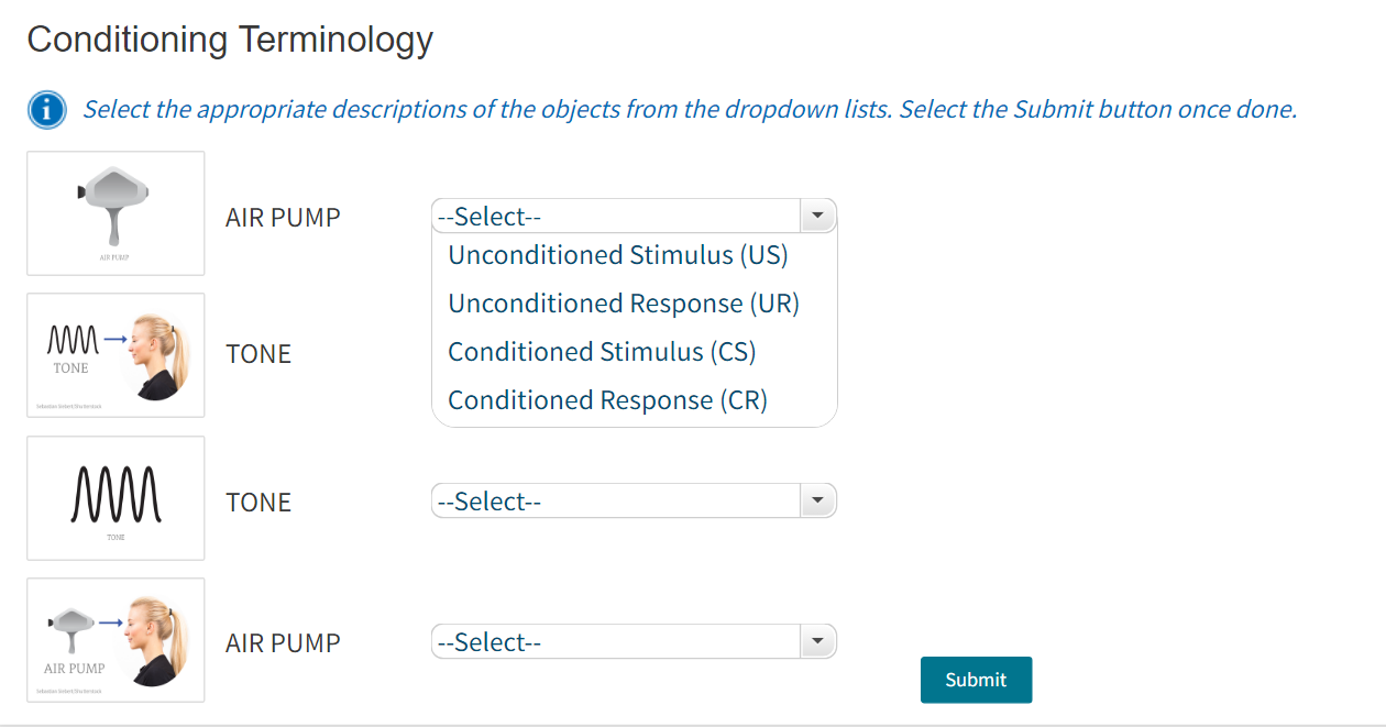 Solved Conditioning Terminology Select the appropriate | Chegg.com