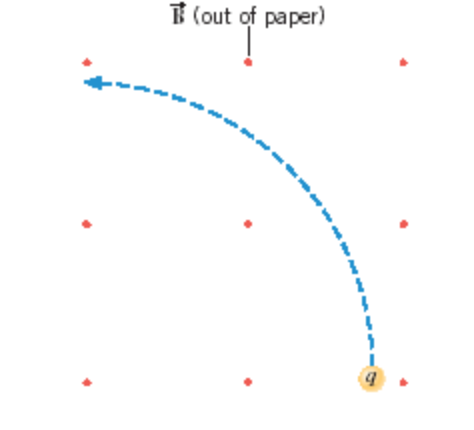 Solved A charged particle enters a uniform magnetic field | Chegg.com