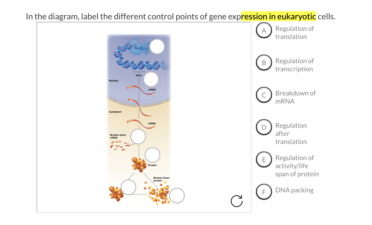 Solved In the diagram, label the different control points of | Chegg.com