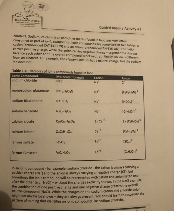 Solved The Science of Cooking Guided Inquiry Activity #1 | Chegg.com