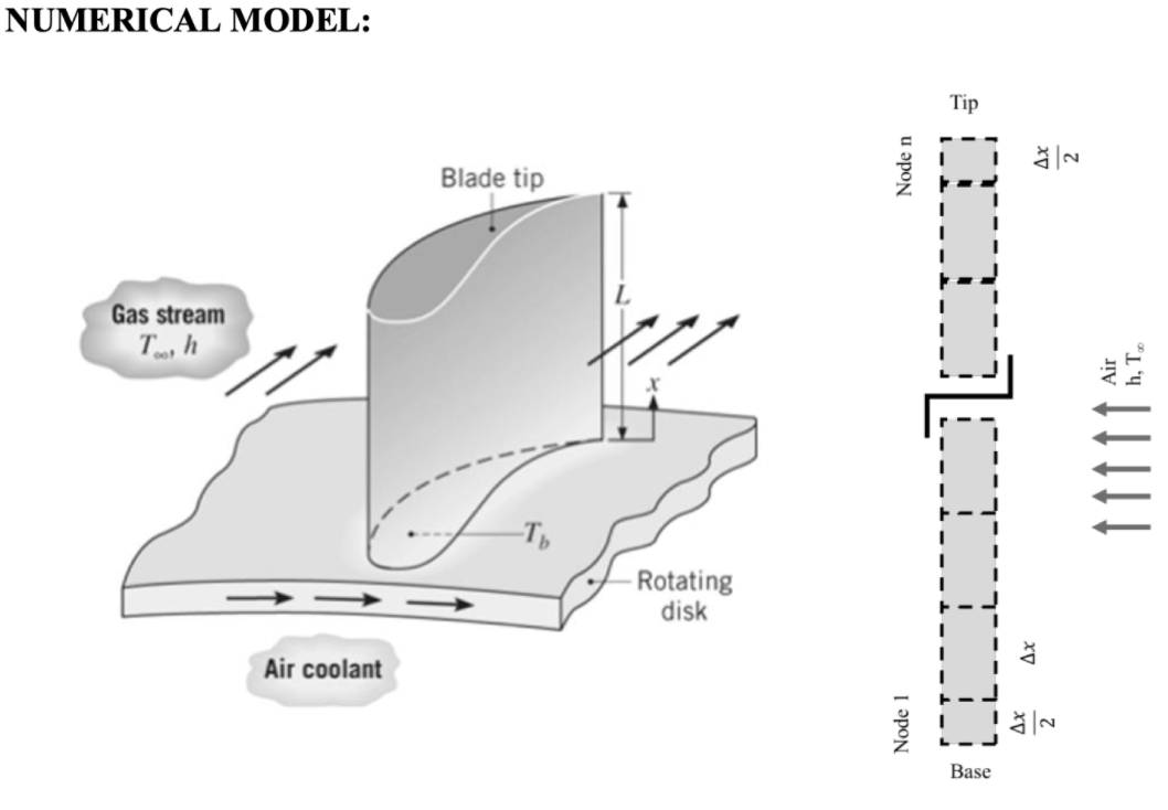 Step 1: Plot the temperature gradient T(x) using the | Chegg.com