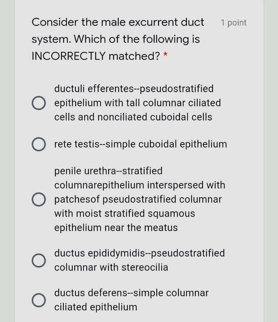 Solved 1 point Consider the male excurrent duct system. | Chegg.com