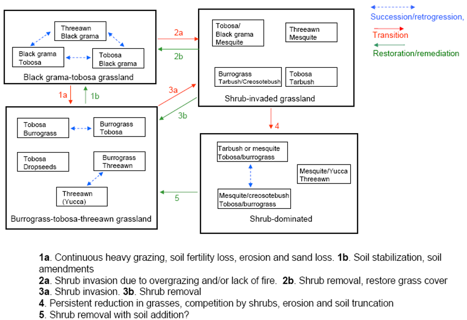 Solved Below is shown a state and transition model. Use the | Chegg.com