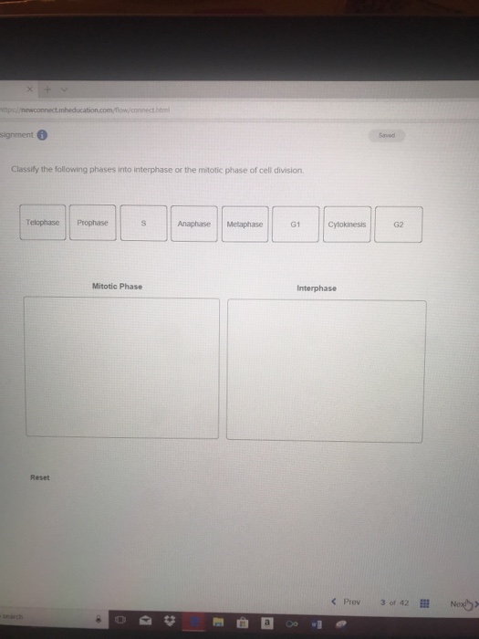 Solved signment Classify the following phases into | Chegg.com