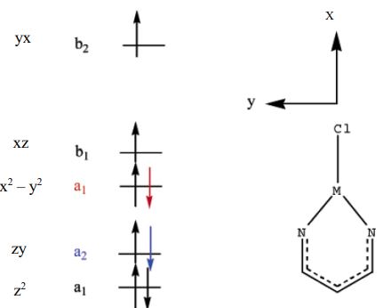 Solved The ligand diketiminate − β also known as nacnac, has | Chegg.com