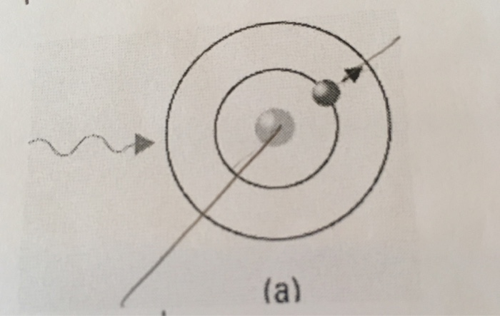 Solved Explain the absorption process using this diagram | Chegg.com