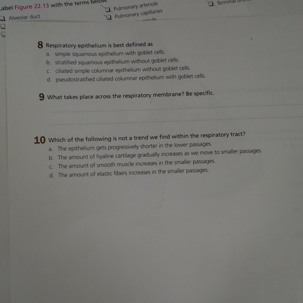 Solved abel Figure 22.13 with the terms bel80u Pulmonary | Chegg.com