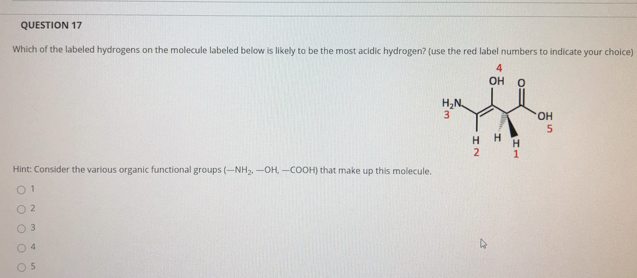 Solved QUESTION 17 Which of the labeled hydrogens on the | Chegg.com