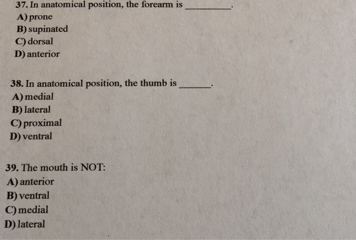 Solved 37. In anatomical position, the forearm is A) prone | Chegg.com