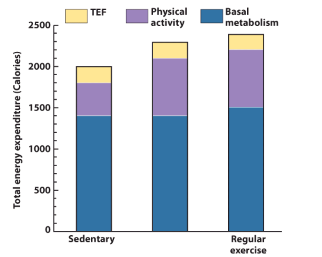 Solved In reviewing this graph, you see that BMR is higher | Chegg.com