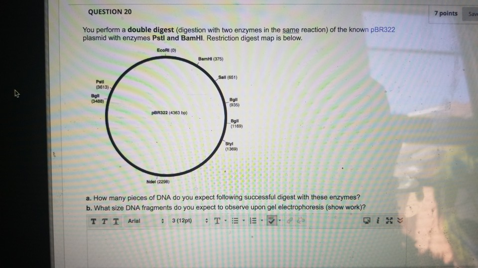 Solved QUESTION 20 7 points Save You perform a double digest | Chegg.com