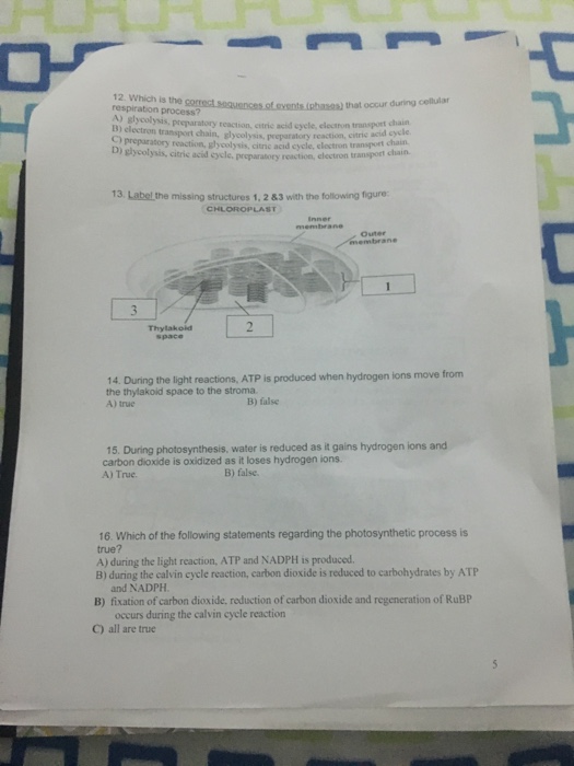Solved Which is the correct sequences of events (phases) | Chegg.com