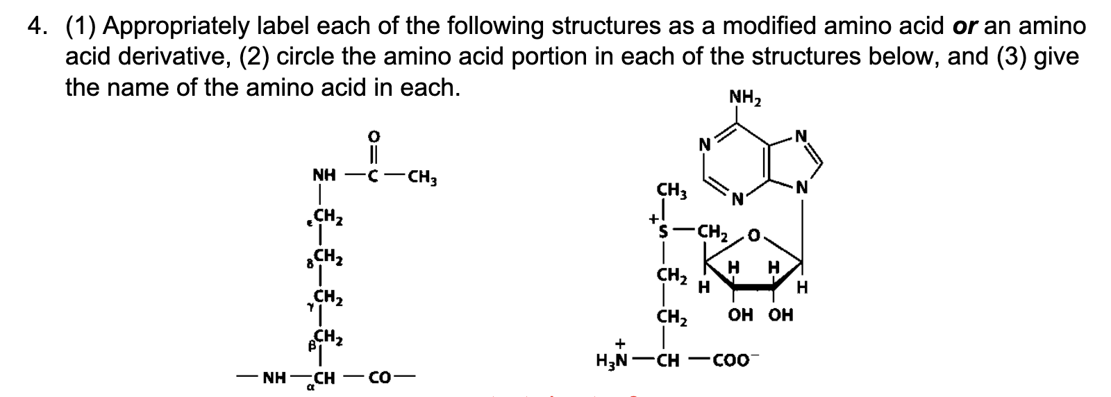 Solved (1) ﻿Appropriately label each of the following | Chegg.com