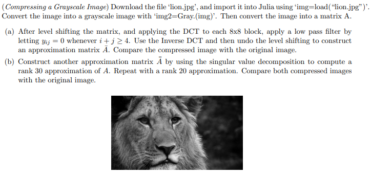 Solved (Compressing a Grayscale Image) Download the file | Chegg.com