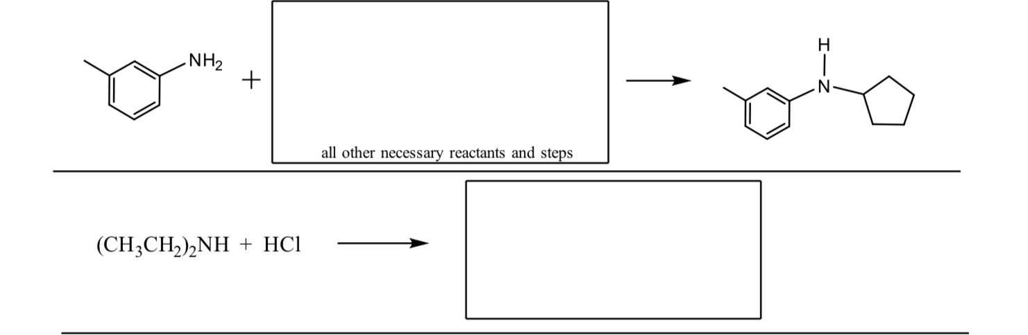 Solved (CH3CH2)2NH+HCl | Chegg.com