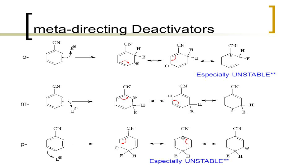 Solved Why is a Meta director in the ortho or para positions | Chegg.com