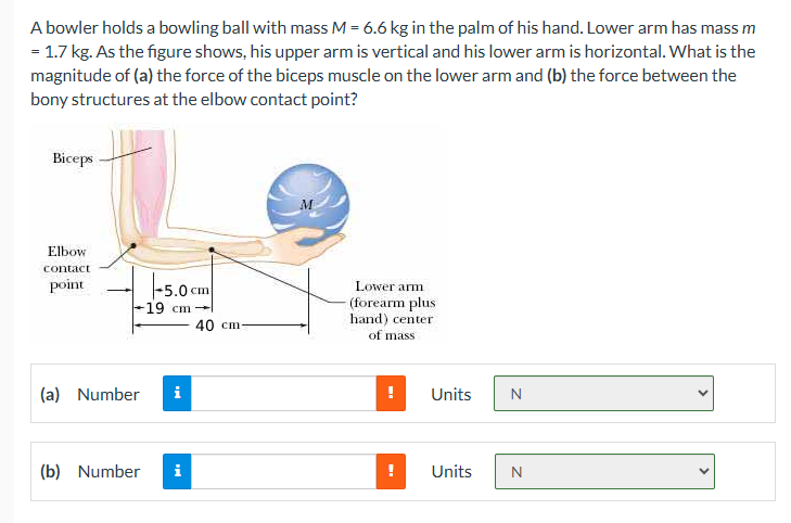 Solved A bowler holds a bowling ball with mass \( | Chegg.com