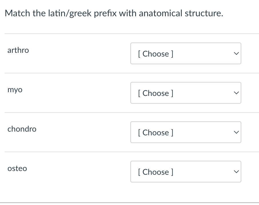 Solved Match the latin/greek prefix with anatomical | Chegg.com