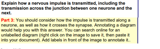 Solved Explain how a nervous impulse is transmitted, | Chegg.com