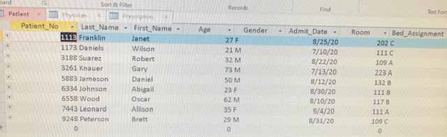 Solved Using the relational database for the 'Patient Care | Chegg.com