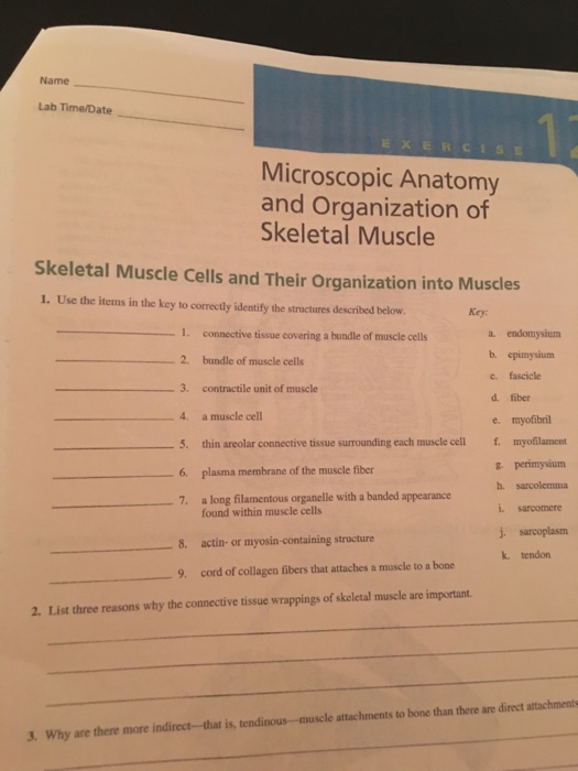 Solved Use the items in the key to correctly identify the | Chegg.com