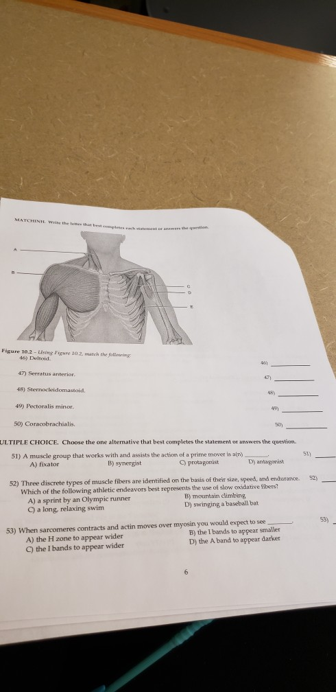 Solved Figure 10.2 -Ust 46) Deltoid Figure 102 match the | Chegg.com