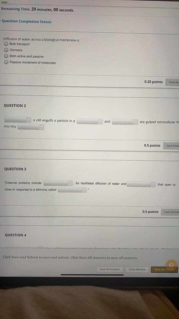 Solved Remaining Time: 29 minutes, 00 seconds. Question | Chegg.com