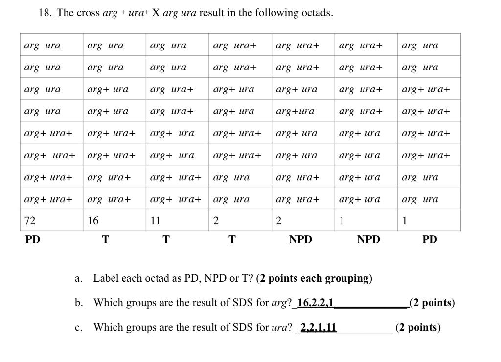 18. The cross arg+ura+X arg ura result in the | Chegg.com