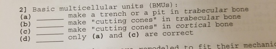 Solved 2] Basic multicellular units (BMUS): make a trench or | Chegg.com