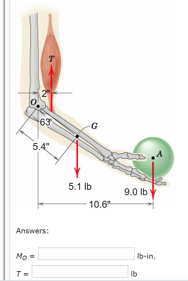 Solved Elements of the lower arm are shown in the figure. | Chegg.com