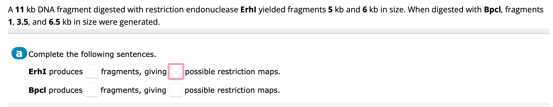 Solved A 11 kb DNA fragment digested with restriction | Chegg.com