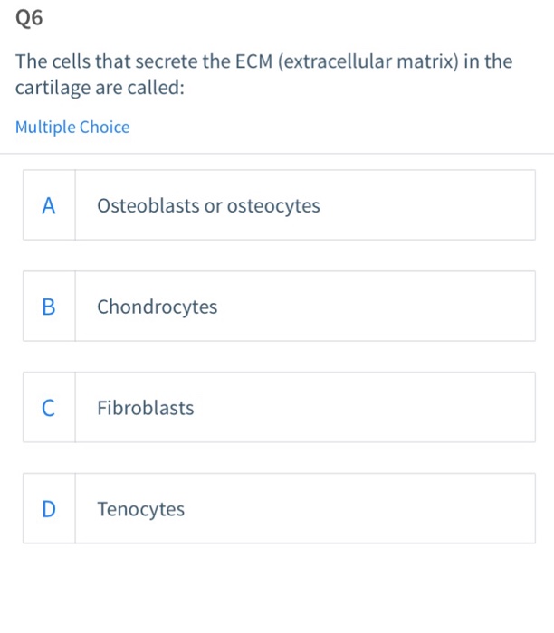 Solved Q6 The cells that secrete the ECM (extracellular | Chegg.com