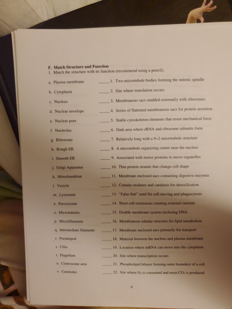 Solved F. Match Structure and Function 1. Match the | Chegg.com