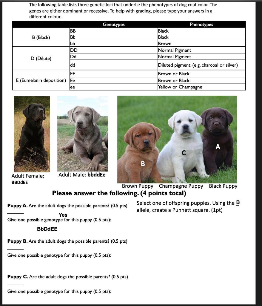 Solved The following table lists three genetic loci that | Chegg.com