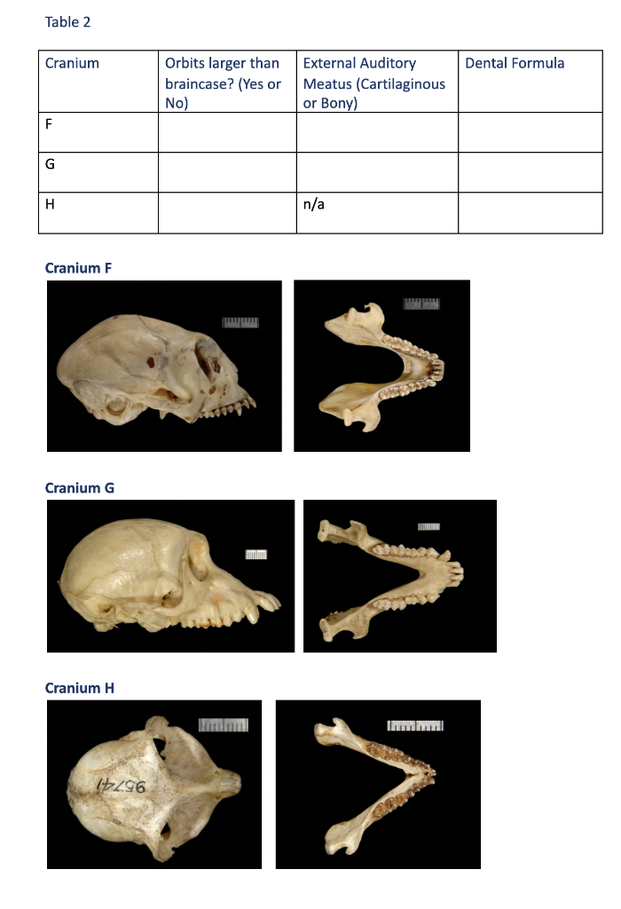 Solved Introduction In this Lab Activity you will apply what | Chegg.com