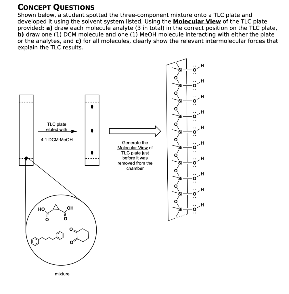 CONCEPT QUESTIONS Shown below, a student spotted the | Chegg.com