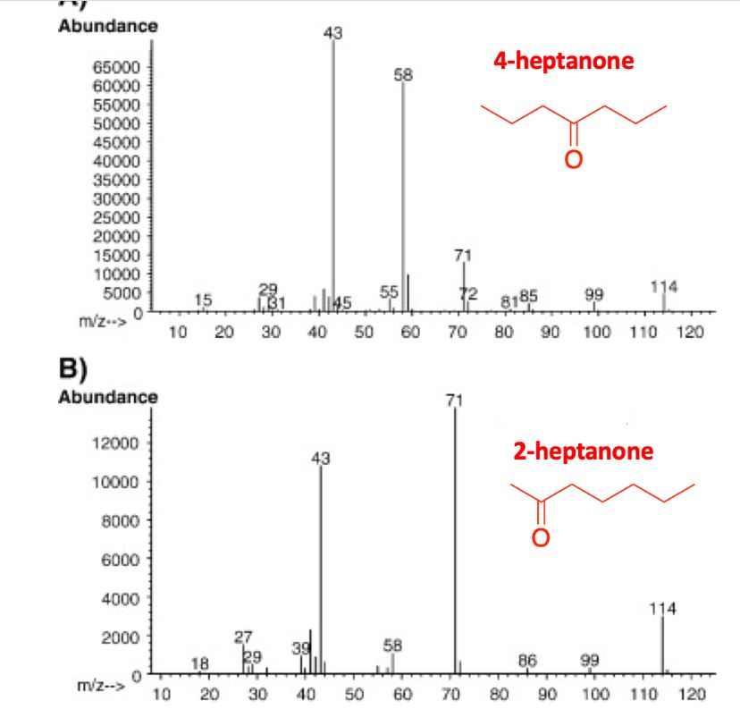 Solved Shown below are the structures of two isomeric | Chegg.com